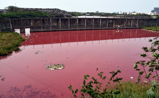 Thoraipakkam residents raise a stink over Biomining at Perungudi dump ...